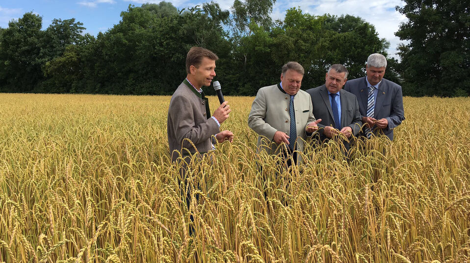 Bayerischer Bauernverband: Aktuelle Situation für Landwirte kritisch ...
